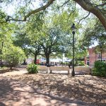 Ellis Square is the city’s most exciting square, with a water fountain ...