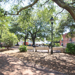 Ellis Square is the city’s most exciting square, with a water fountain ...