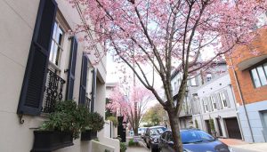 Why Spring - Savannah, GA | Savannah.com