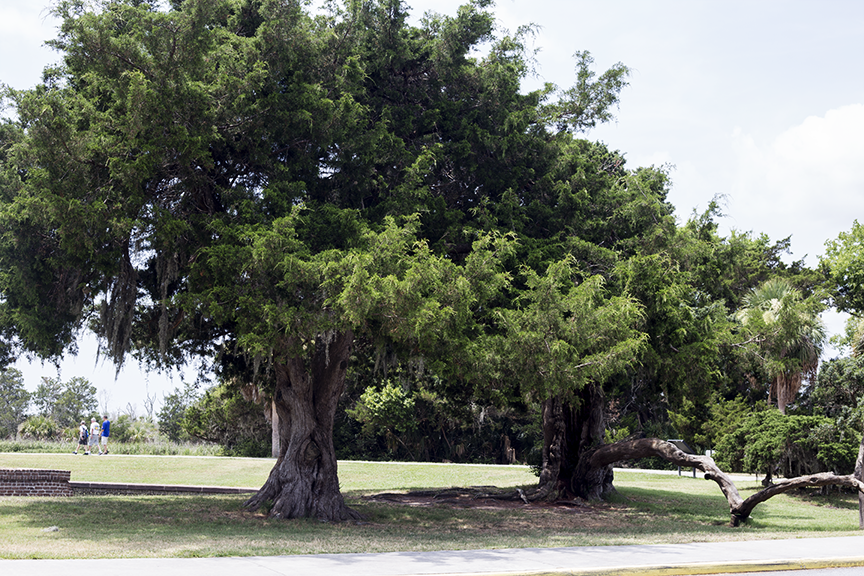 Fort Pulaski National Monument | Fort Pulaski Georgia